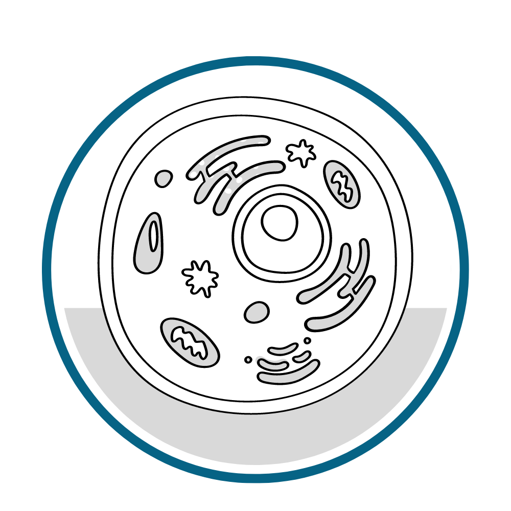 Biology Clipart Cell