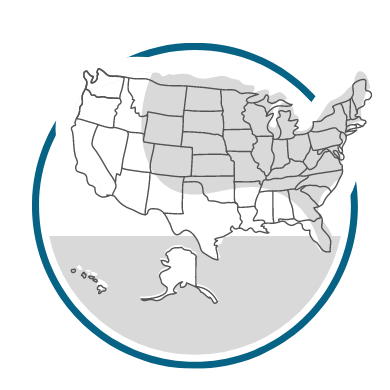 United States History (elective) – Logos Online School